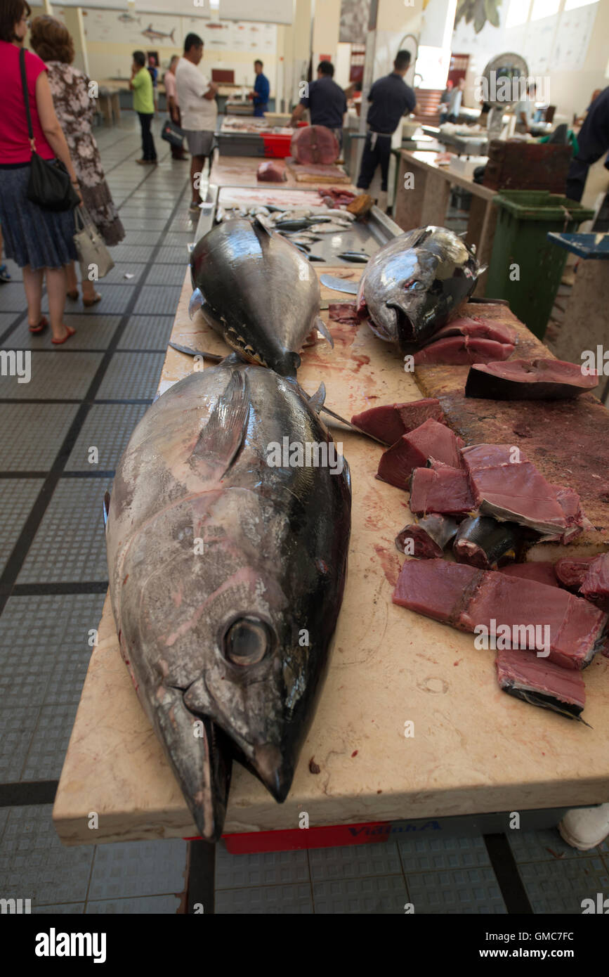 Madeira fish market Funchal, tuna Stock Photo - Alamy