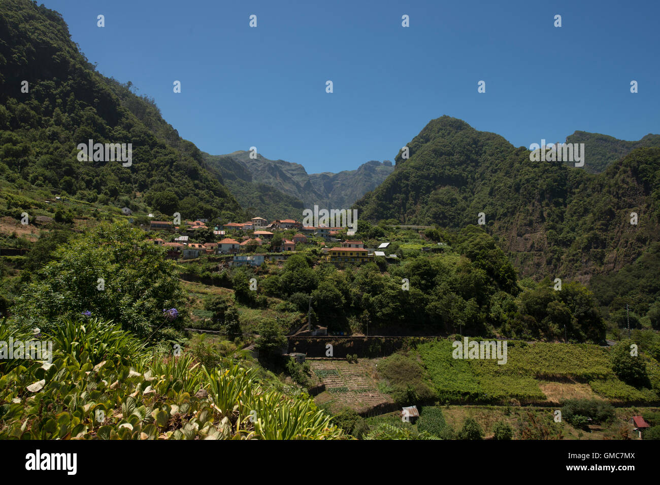 Madeira hills hi-res stock photography and images - Alamy