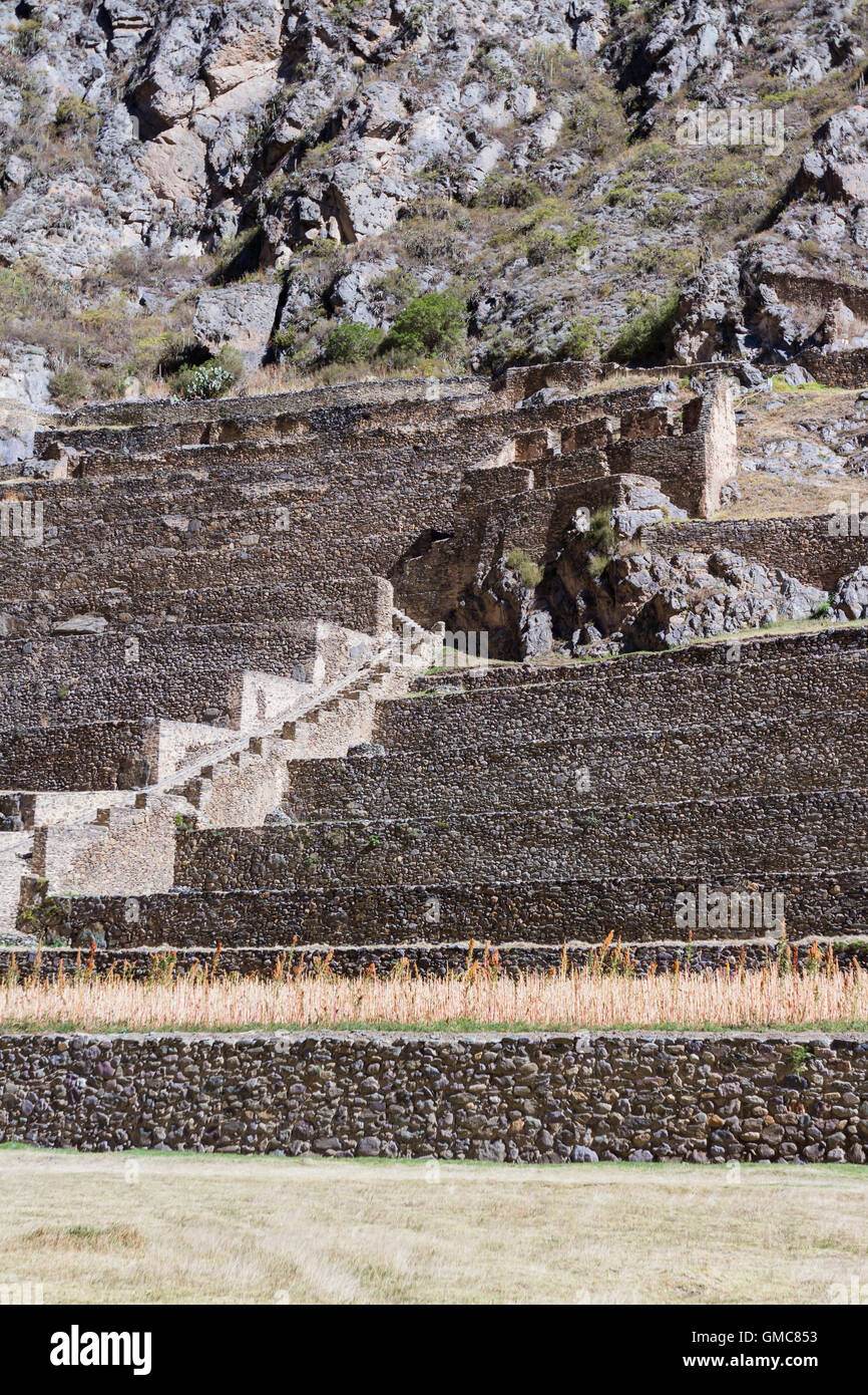 Terrace Farming Inca High Resolution Stock Photography and Images - Alamy