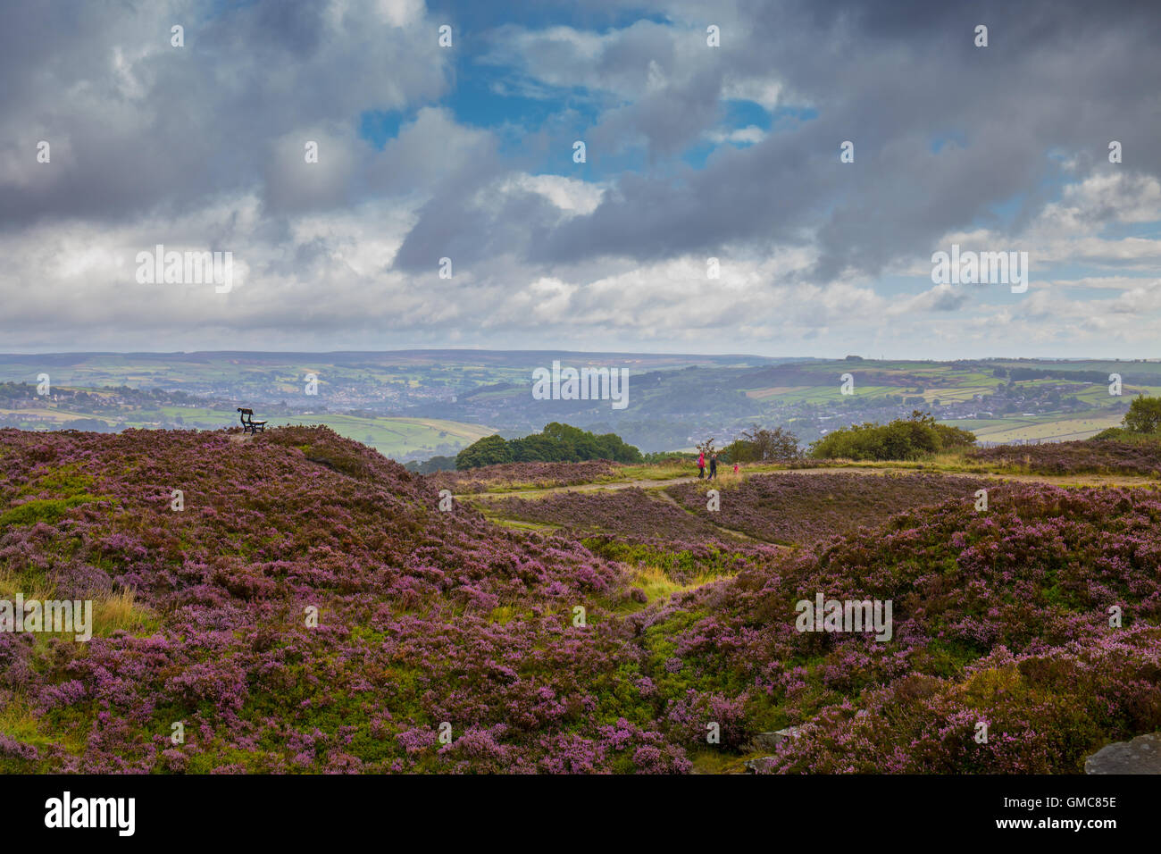 Dramatic landscape with heather, north Yorkshire, UK Stock Photo - Alamy