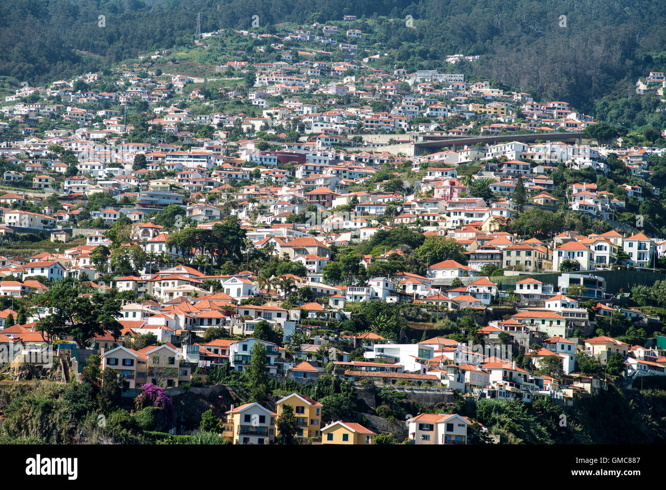 Madeira banks hi-res stock photography and images - Alamy