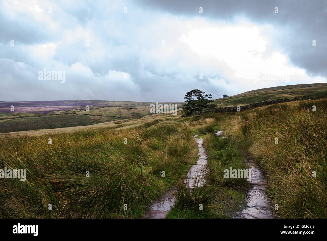 Path leading to top withins farm, inspiration for Wuthering Heights ...