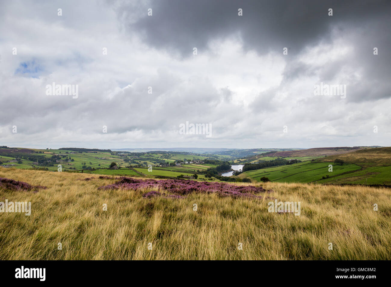 Heather yorkshire hi-res stock photography and images - Alamy