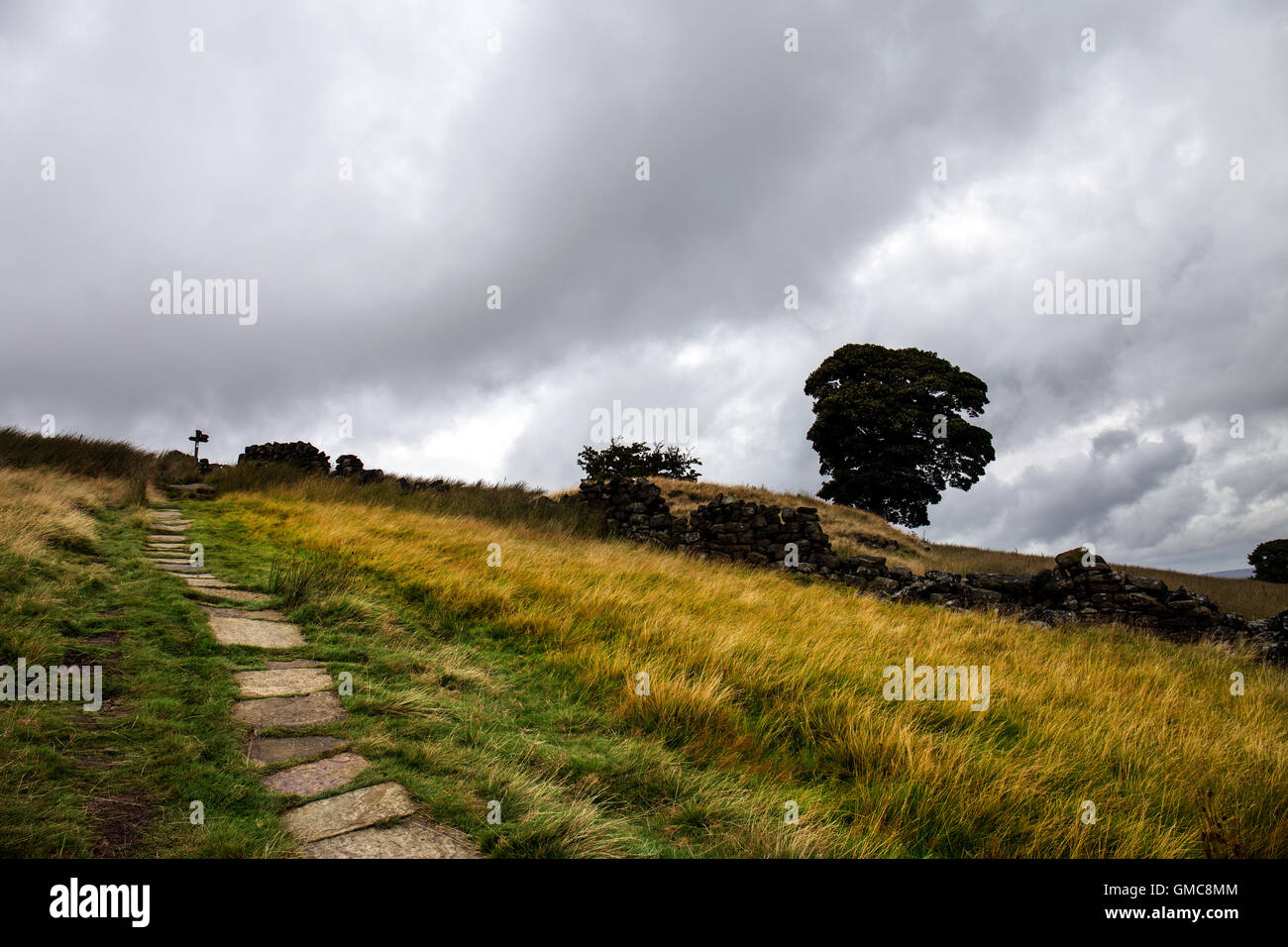 Moorland hill with pathway and tree against stormy sky and stone wall ...