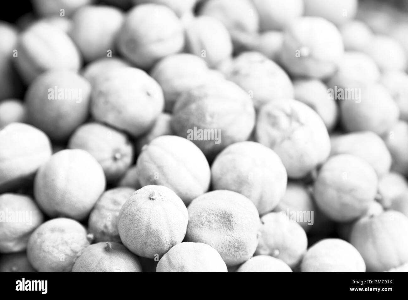 in iran typical dry lemon in abstract pattern background flavor and ...