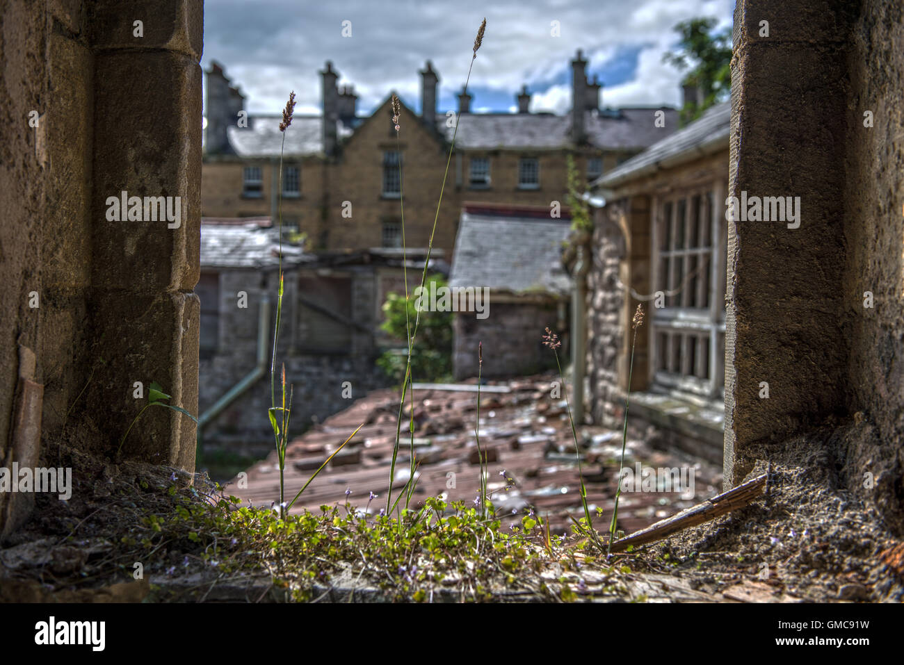 Nature has reclaimed Denbigh Asylum, Denbigh, Denbighshire, Wales, UK ...