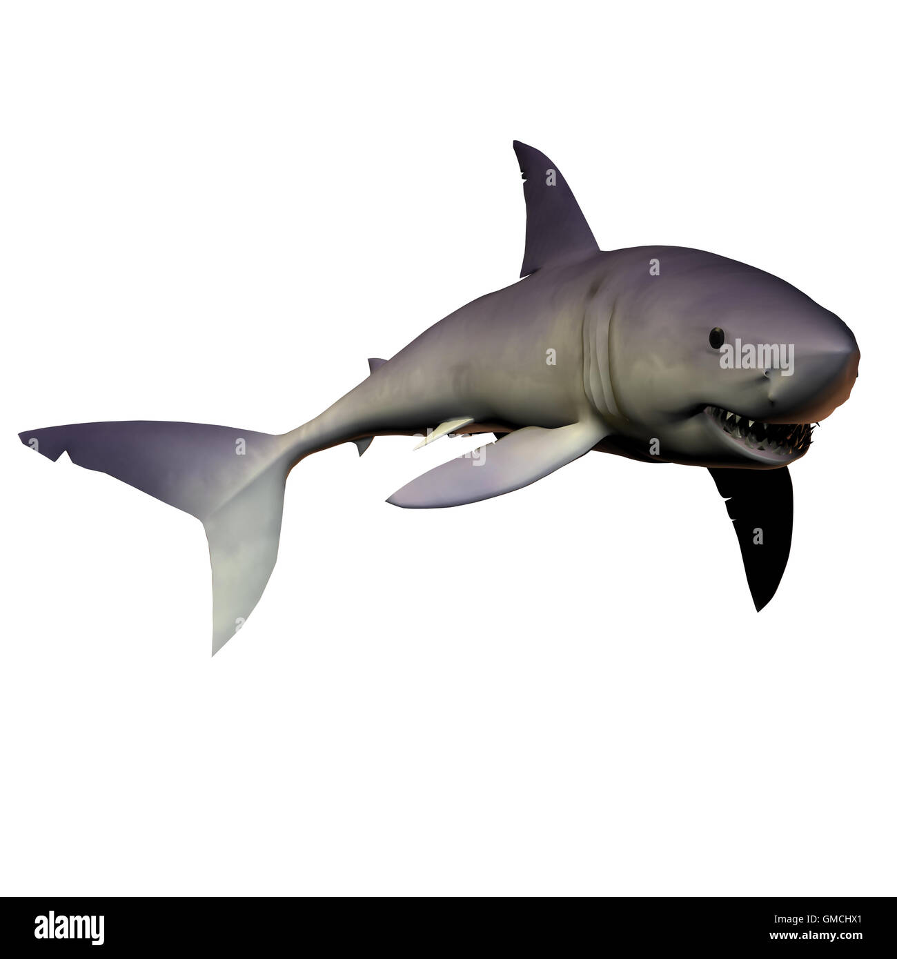 Mako shark Cut Out Stock Images & Pictures - Alamy