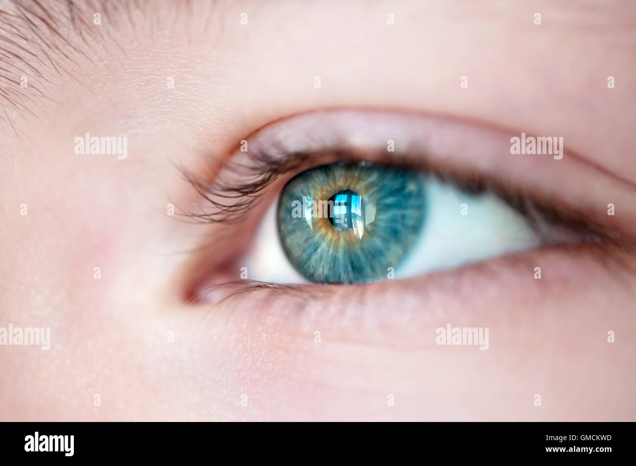 Eye with window reflection close up Stock Photo - Alamy