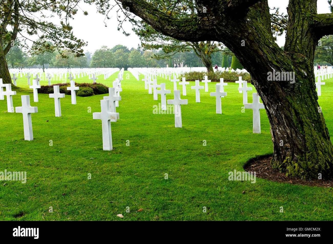 American Cemetery at Normandy Stock Photo - Alamy
