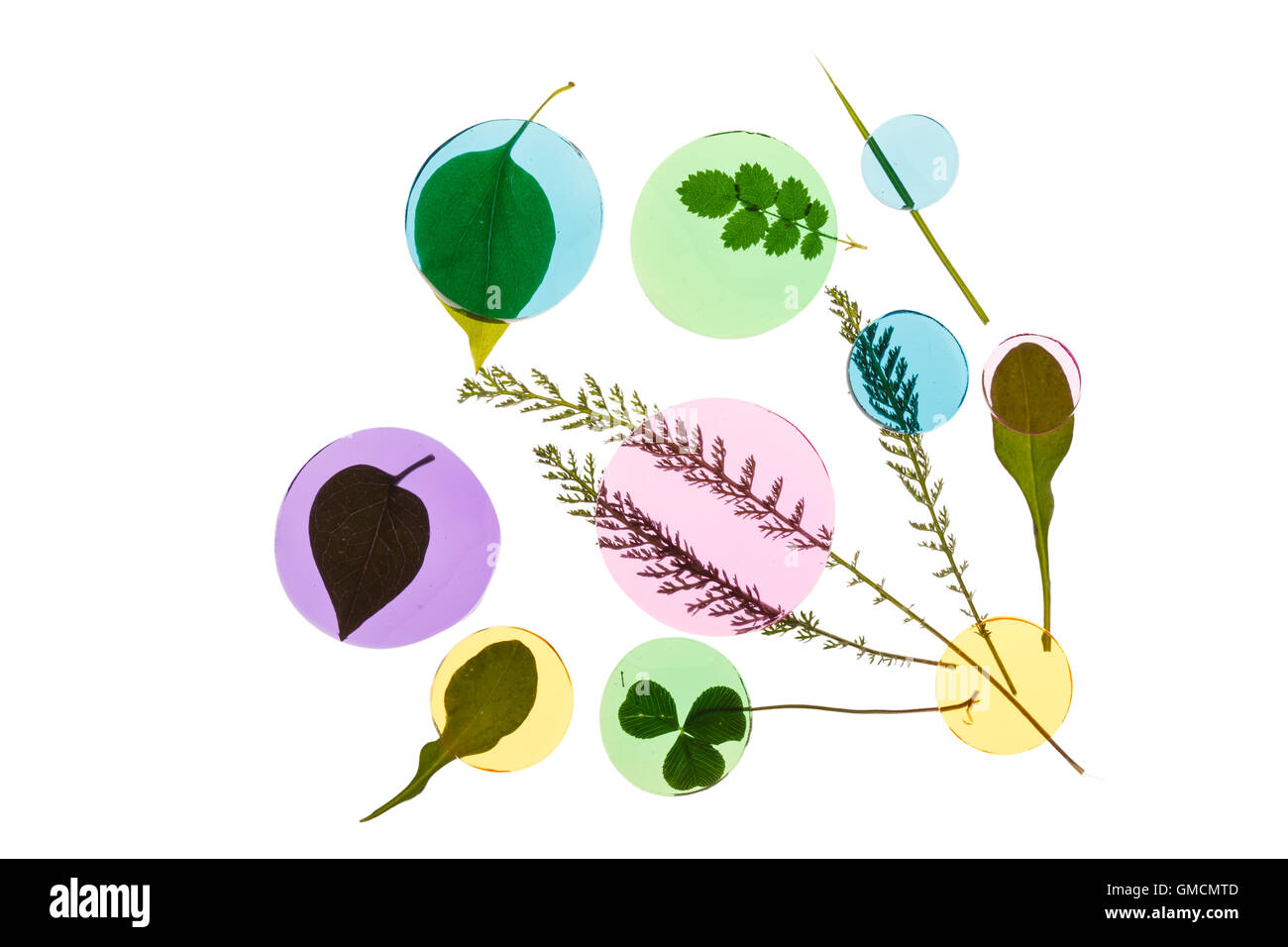 Botanical nature background Cut Out Stock Images & Pictures - Alamy