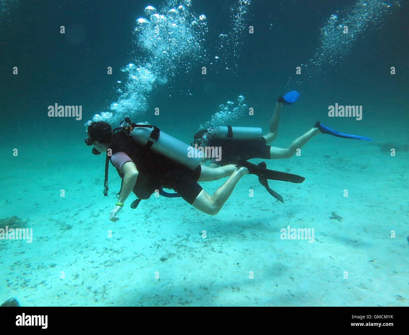 Diver silhouette underwater landscape hi-res stock photography and ...