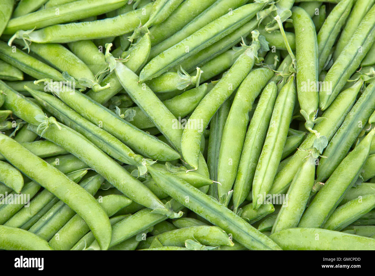 Green seed pods hi-res stock photography and images - Alamy