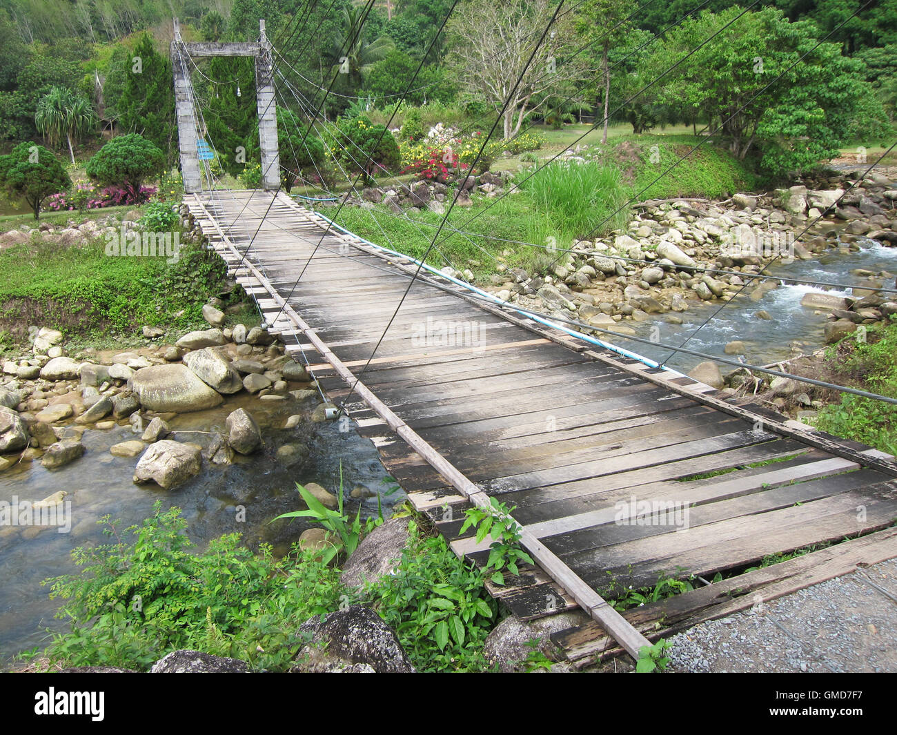 wood bridge to the jungle Stock Photo - Alamy