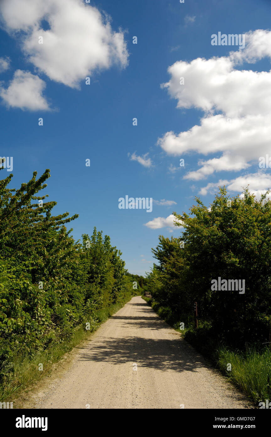 Outback pathway hi-res stock photography and images - Alamy