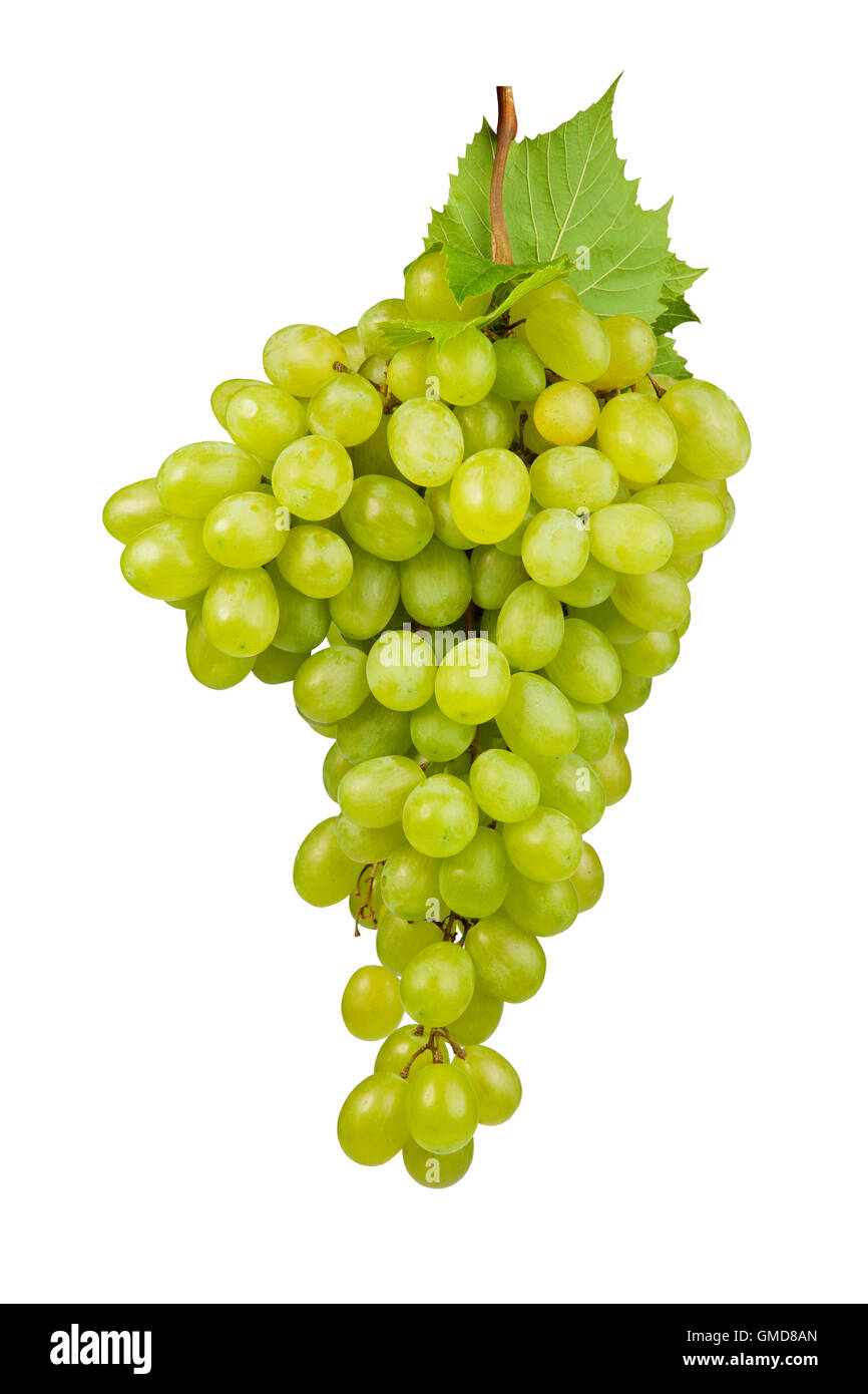 Bunch of Green Grapes laying isolated Stock Photo - Alamy
