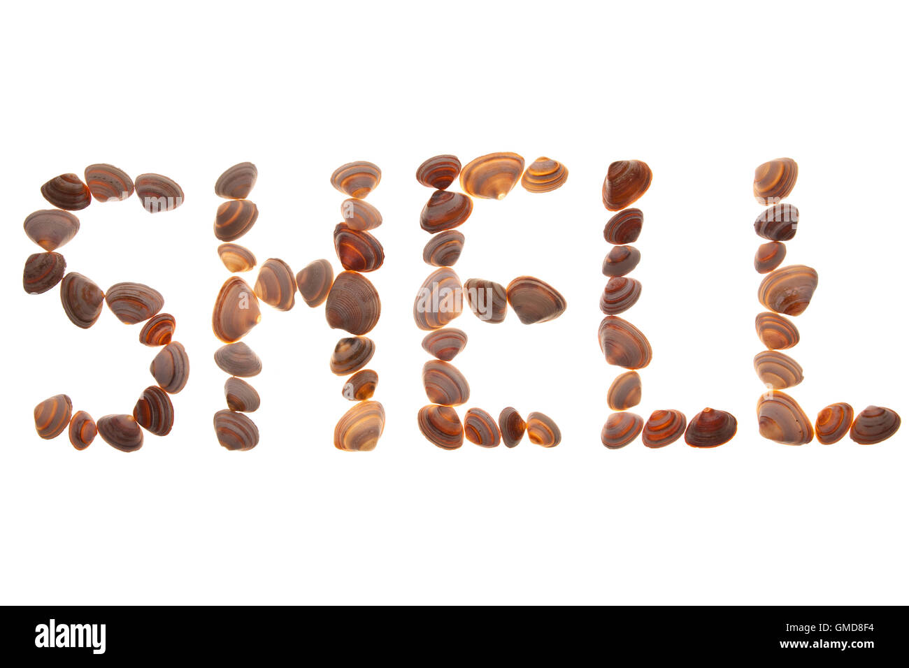 the word shell made of sea shells Stock Photo - Alamy