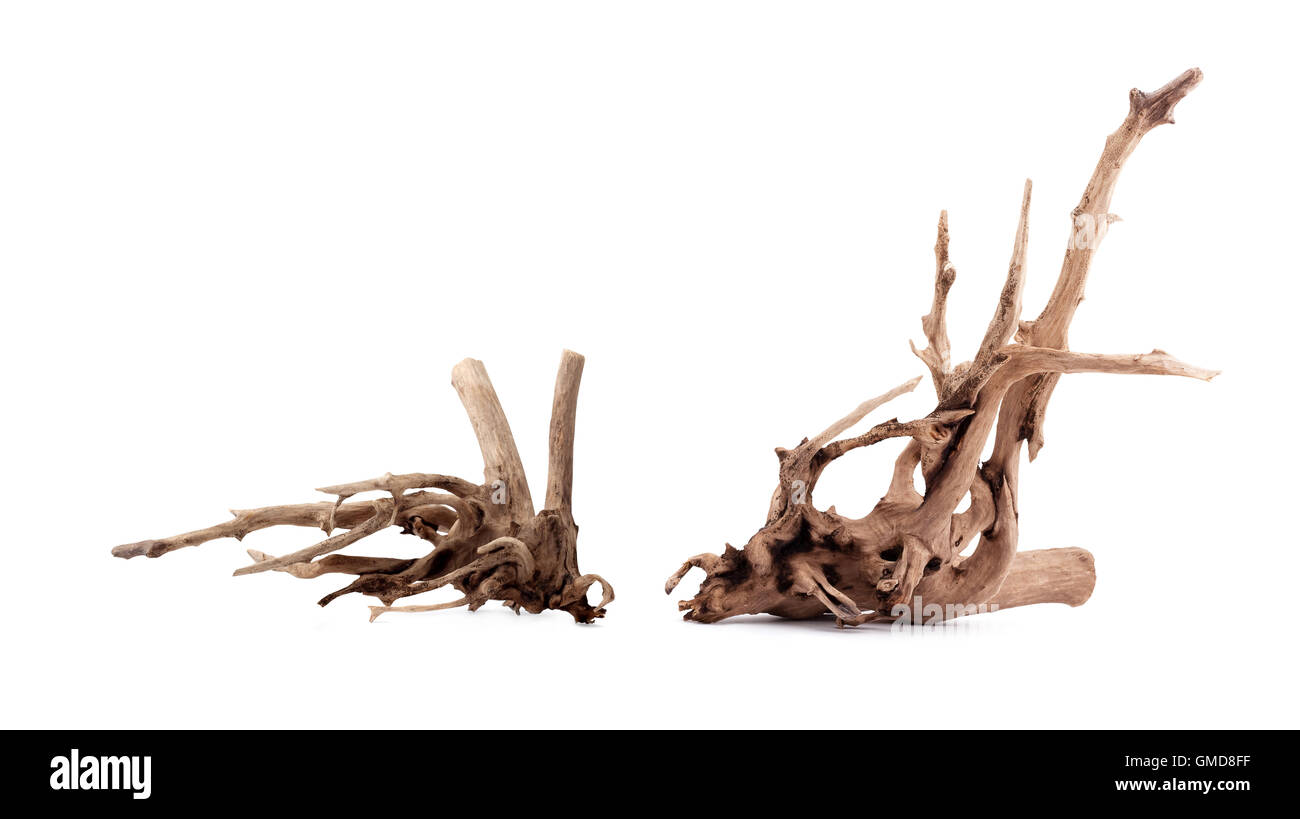 Snag hi-res stock photography and images - Alamy