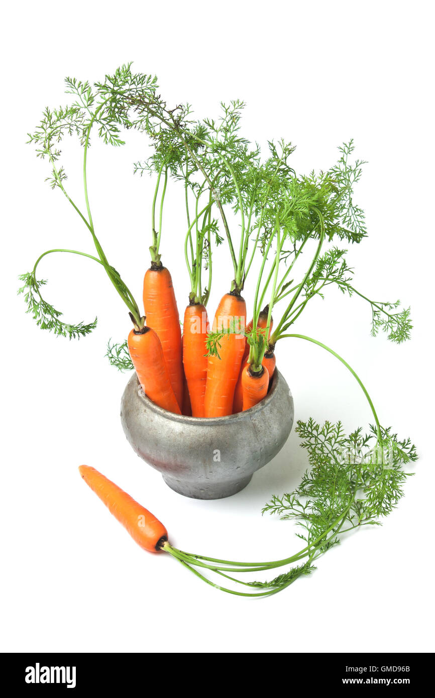 carrots with green tops Stock Photo - Alamy