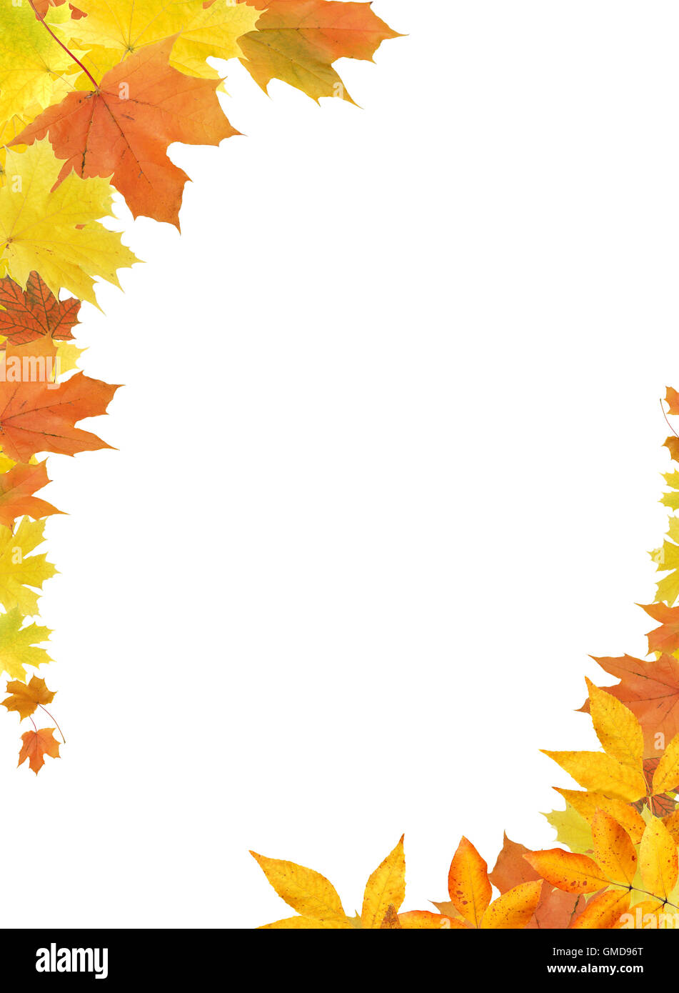 Fall Leaves Border Stock Photo - Alamy