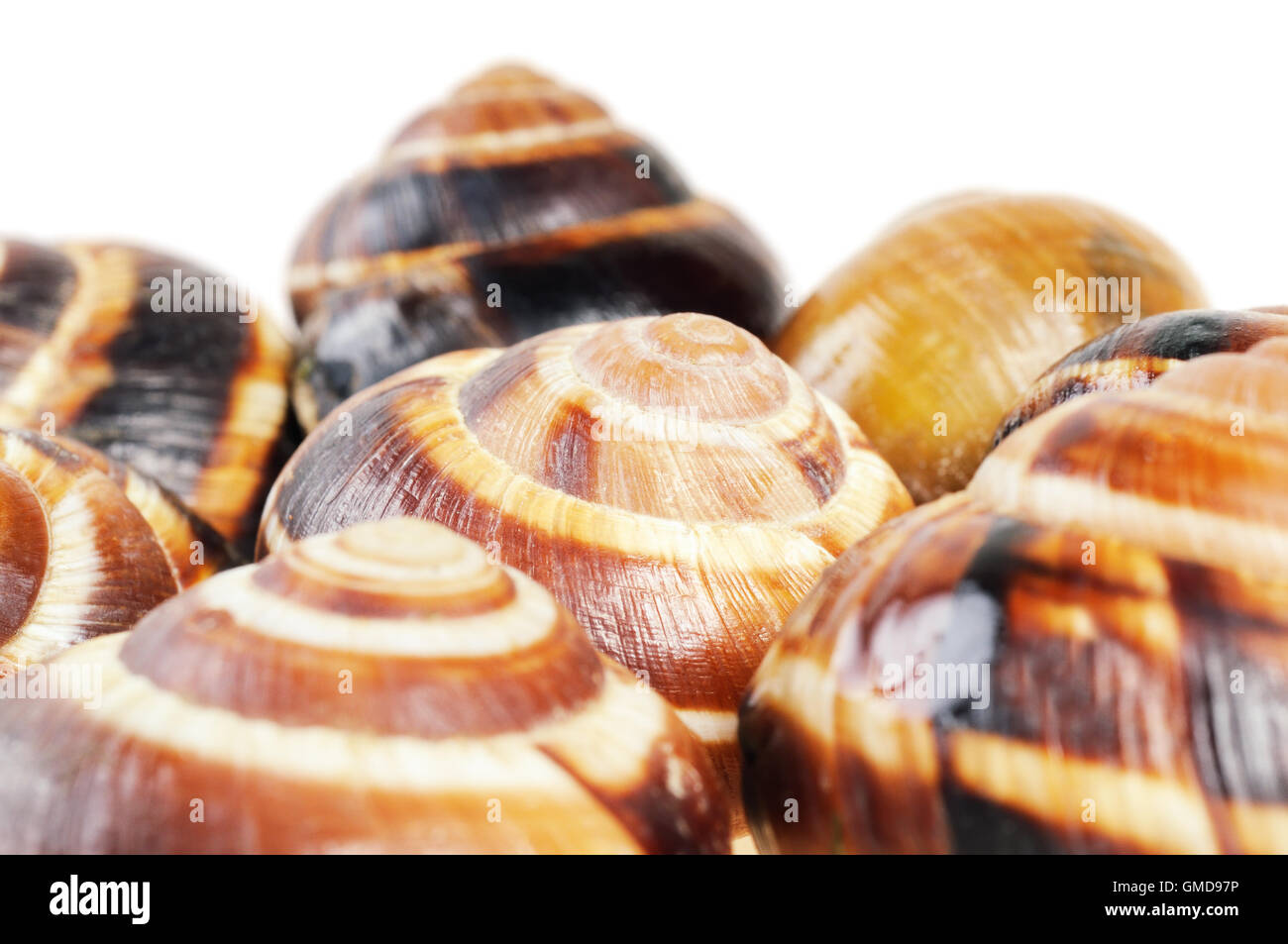 Bourgogne snails with garlic butter Stock Photo - Alamy
