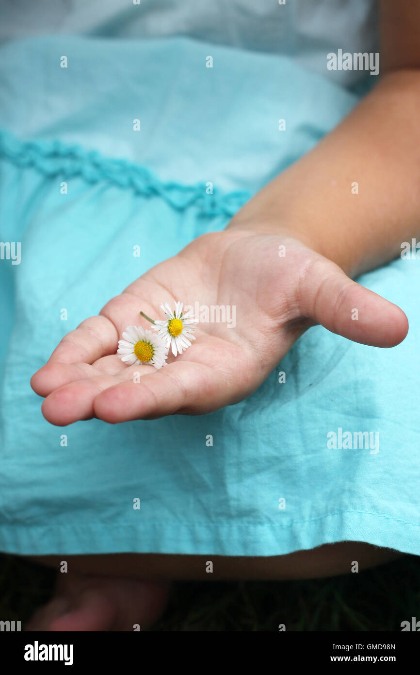 A small hand with small flowers Stock Photo - Alamy