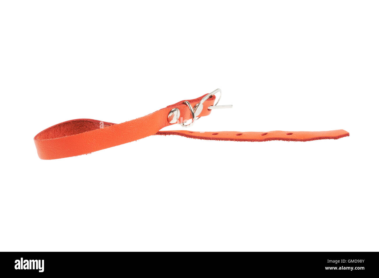 Cat strap hi-res stock photography and images - Alamy