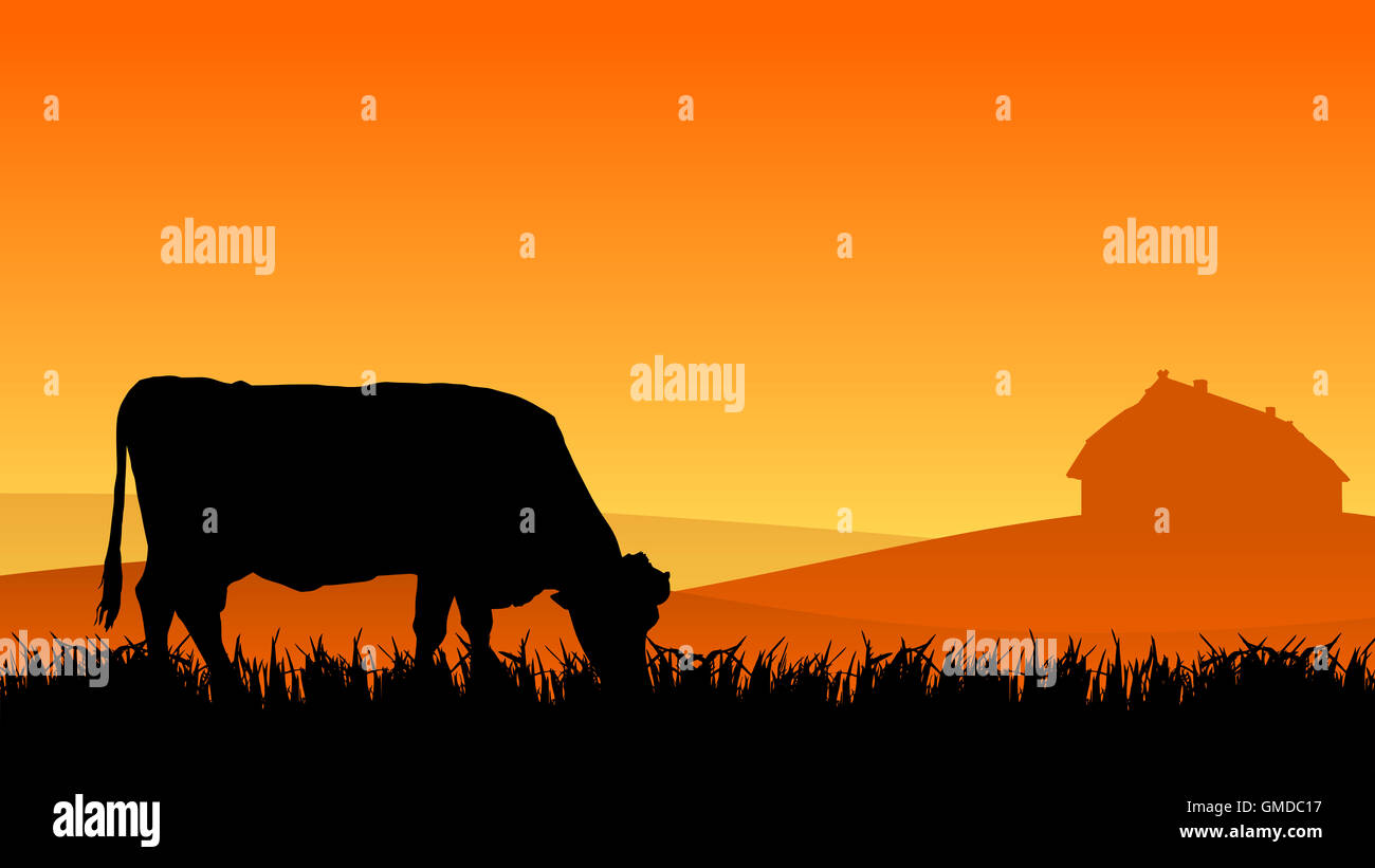 Cow village horizon hi-res stock photography and images - Alamy