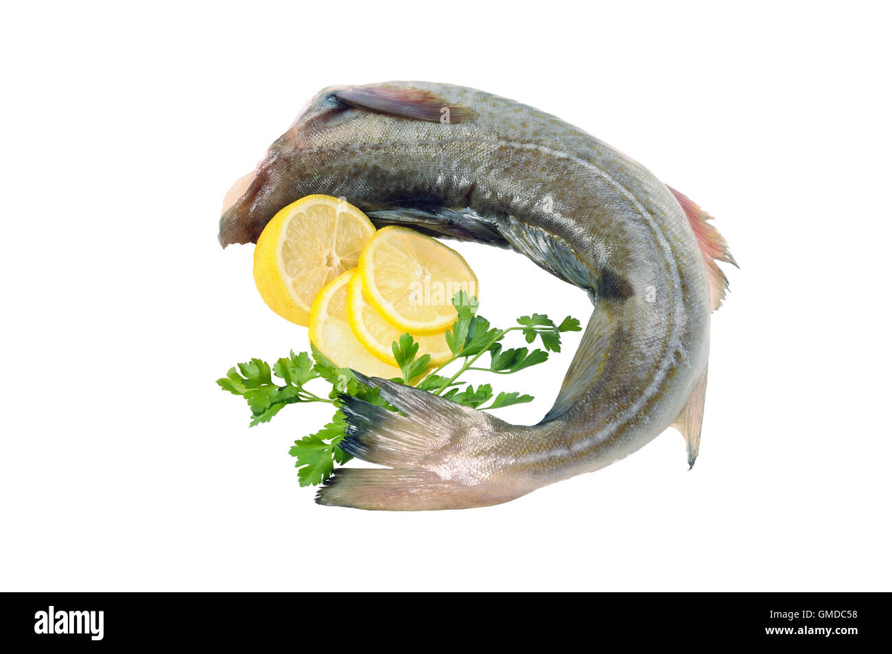 Fresh raw cod fish Cut Out Stock Images & Pictures - Alamy