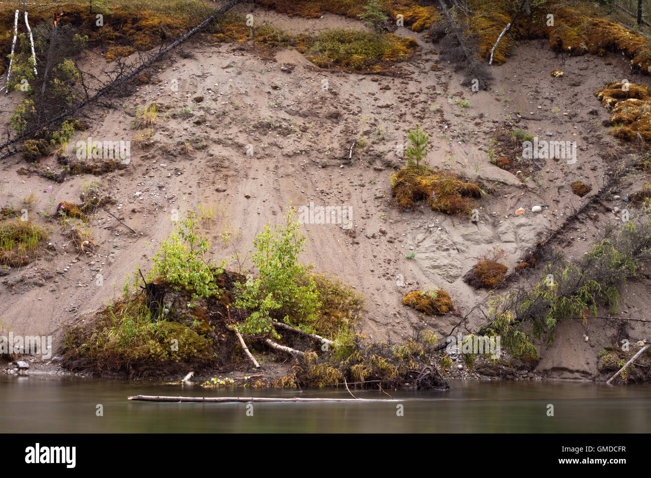 Erosion on river's cutbank Stock Photo - Alamy