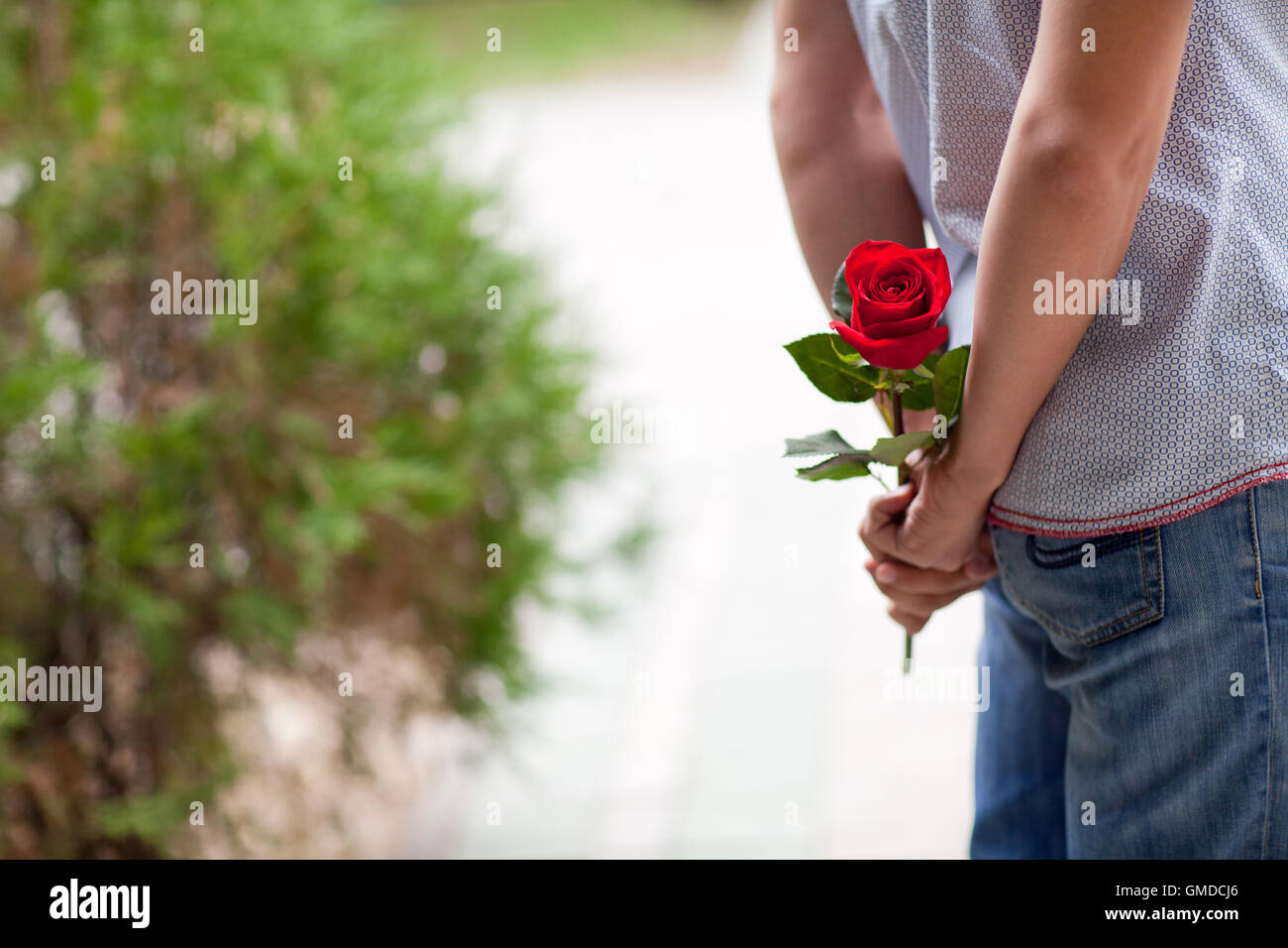 Ina symbol hi-res stock photography and images - Alamy