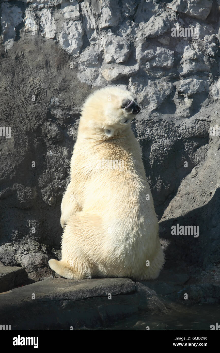 Blind alley hi-res stock photography and images - Alamy