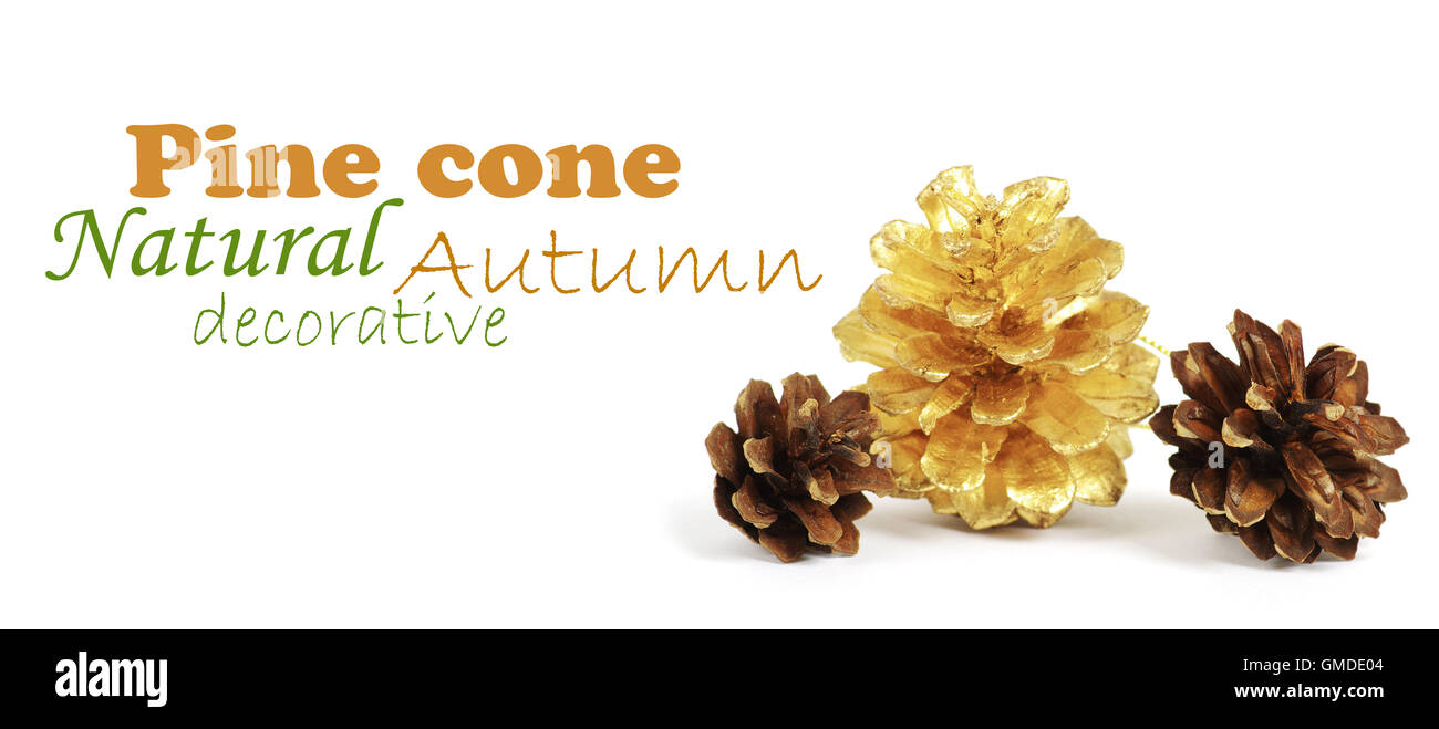 two pine cones and one golden cone over white background with sh Stock ...
