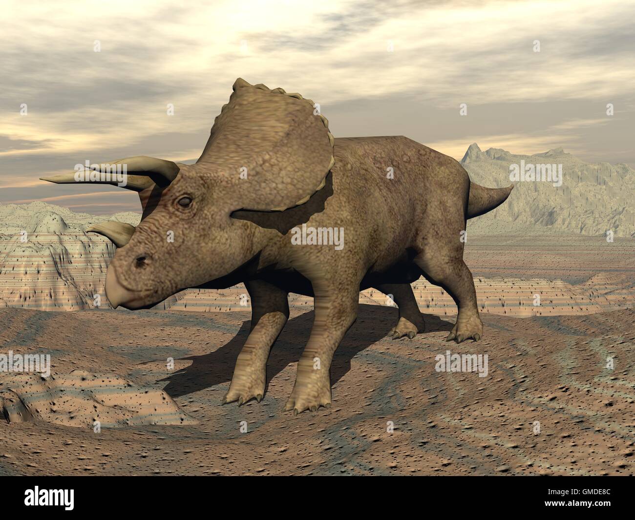 Tricera dinosaur standing - 3D render Stock Photo - Alamy