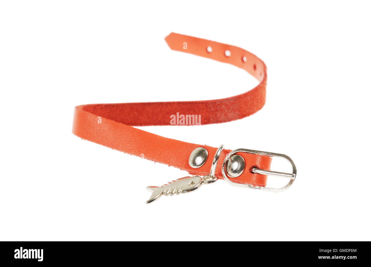 Cat with red collar Cut Out Stock Images & Pictures - Alamy