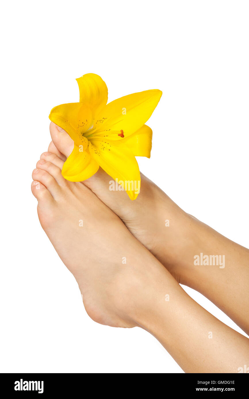 Beautiful woman legs with flower , isolated on white Stock Photo - Alamy