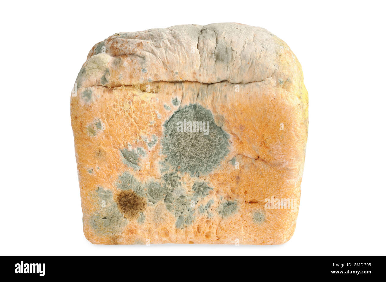 Moldy bread. Isolated Stock Photo - Alamy