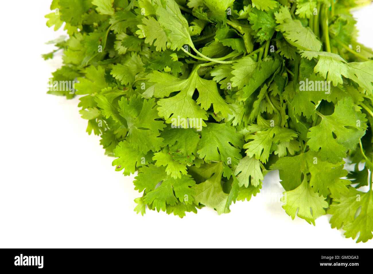 Parsley tied in a bunch with twine isolated Stock Photo - Alamy