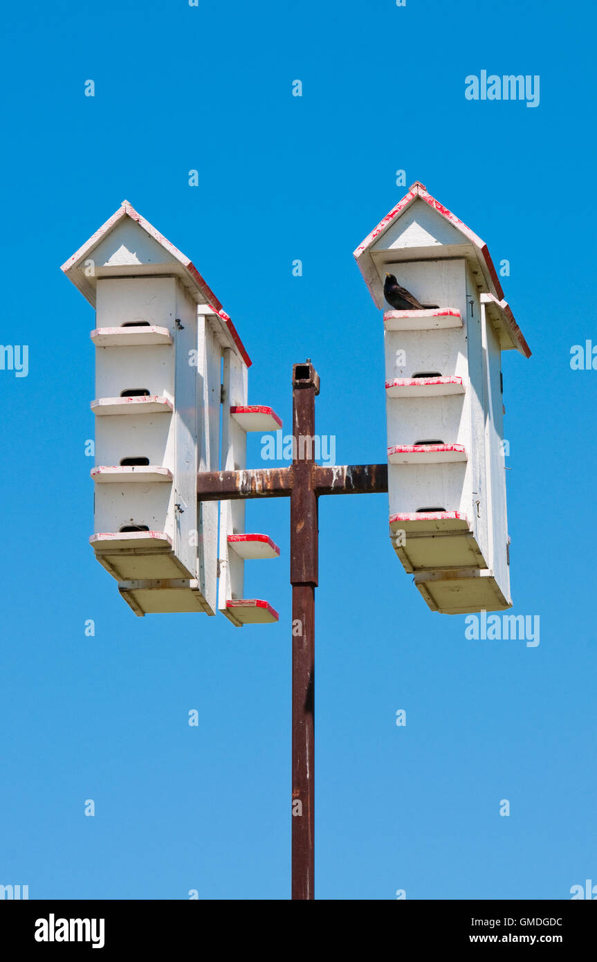 Birdhouse multiple hi-res stock photography and images - Alamy