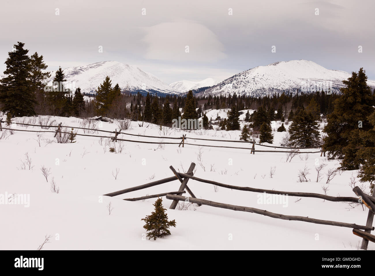 Ranch adventure hi-res stock photography and images - Alamy