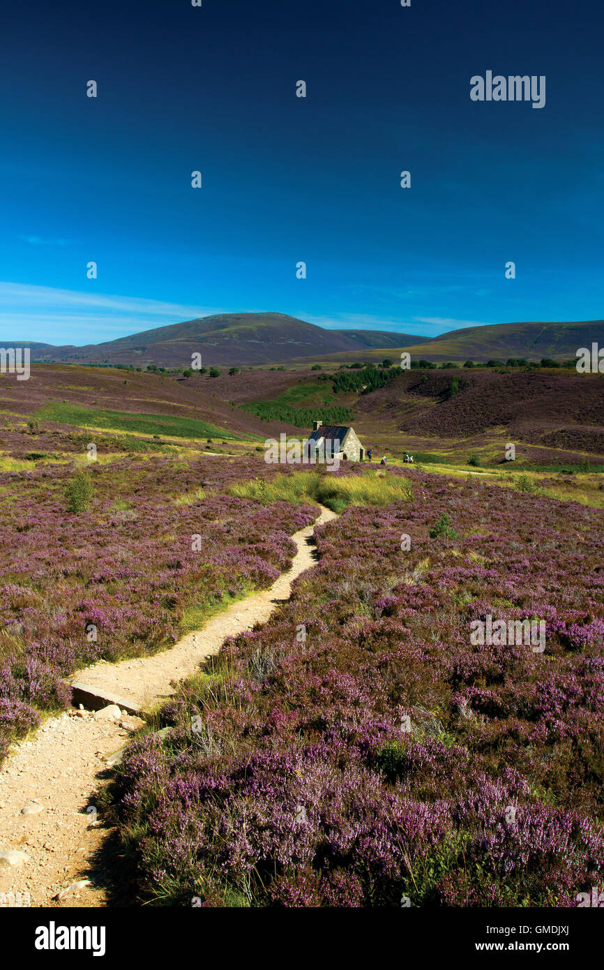 Ryvoan Bothy at the base of Meall a Bhuachaille, Abernethy Nature ...