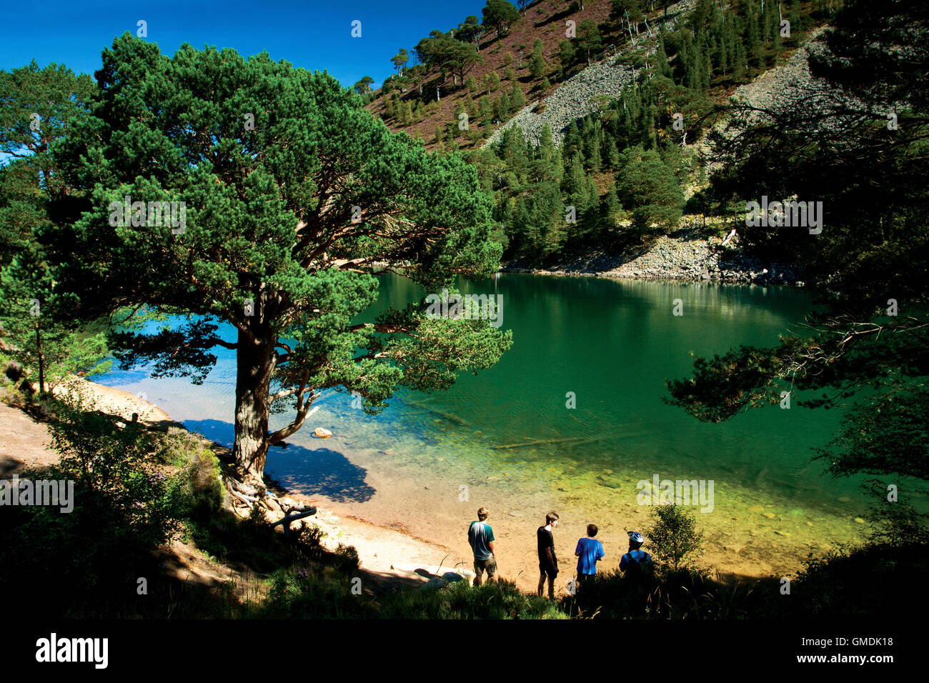 An Lochan Uaine, The Green Lochan, Glen More, Aviemore, Cairngorm ...