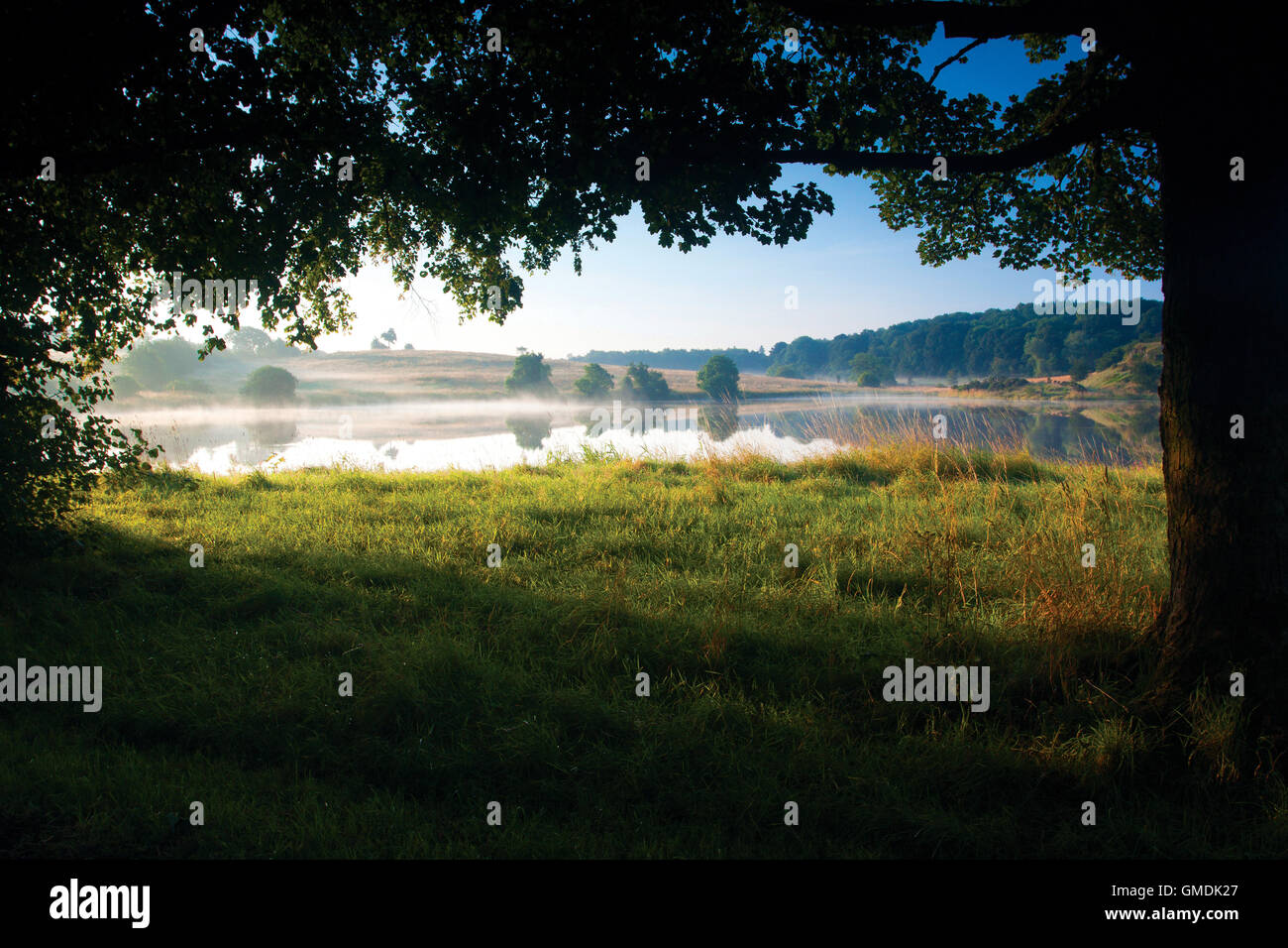 Ryat Linn Reservoir, Dams to Darnley Country Park, Barrhead, East ...