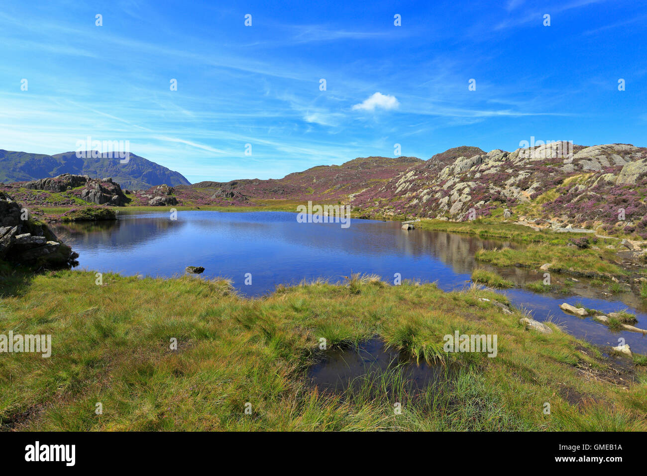 Innominate Tarn on Haystacks, Cumbria, Lake District National Park ...