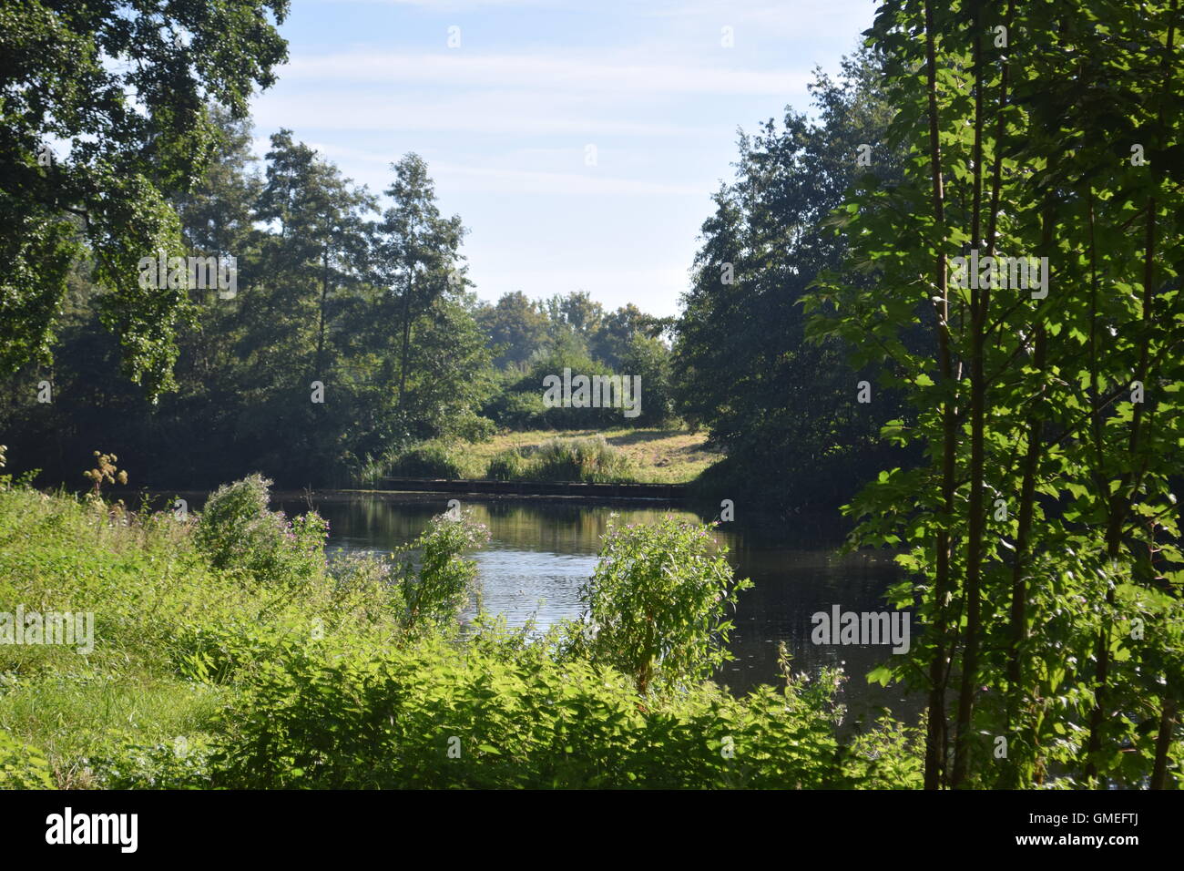 scenery views across the park Stock Photo - Alamy