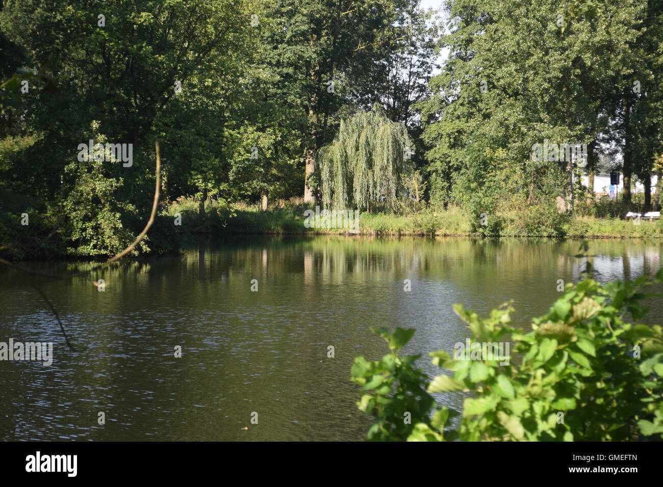 Tree views hi-res stock photography and images - Alamy