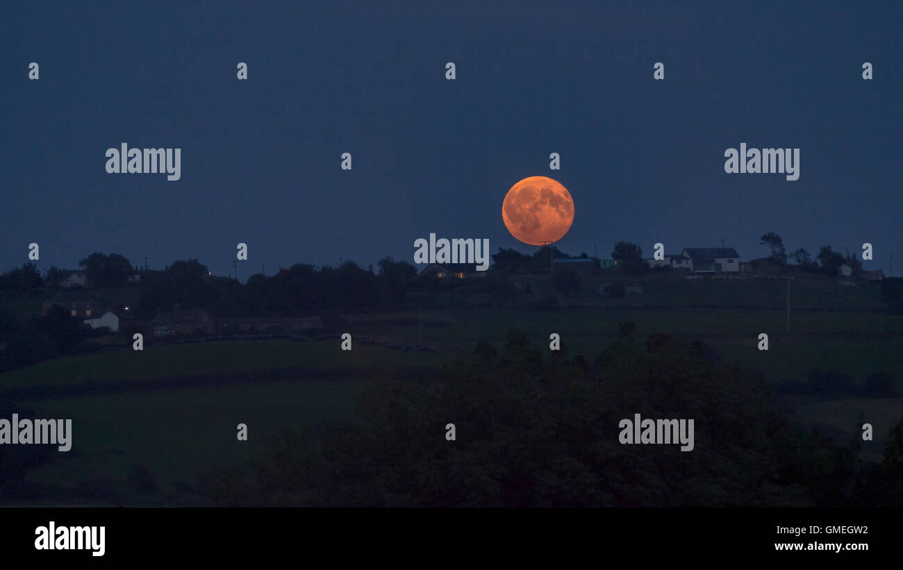 A red full moon rising above the horizon Stock Photo - Alamy
