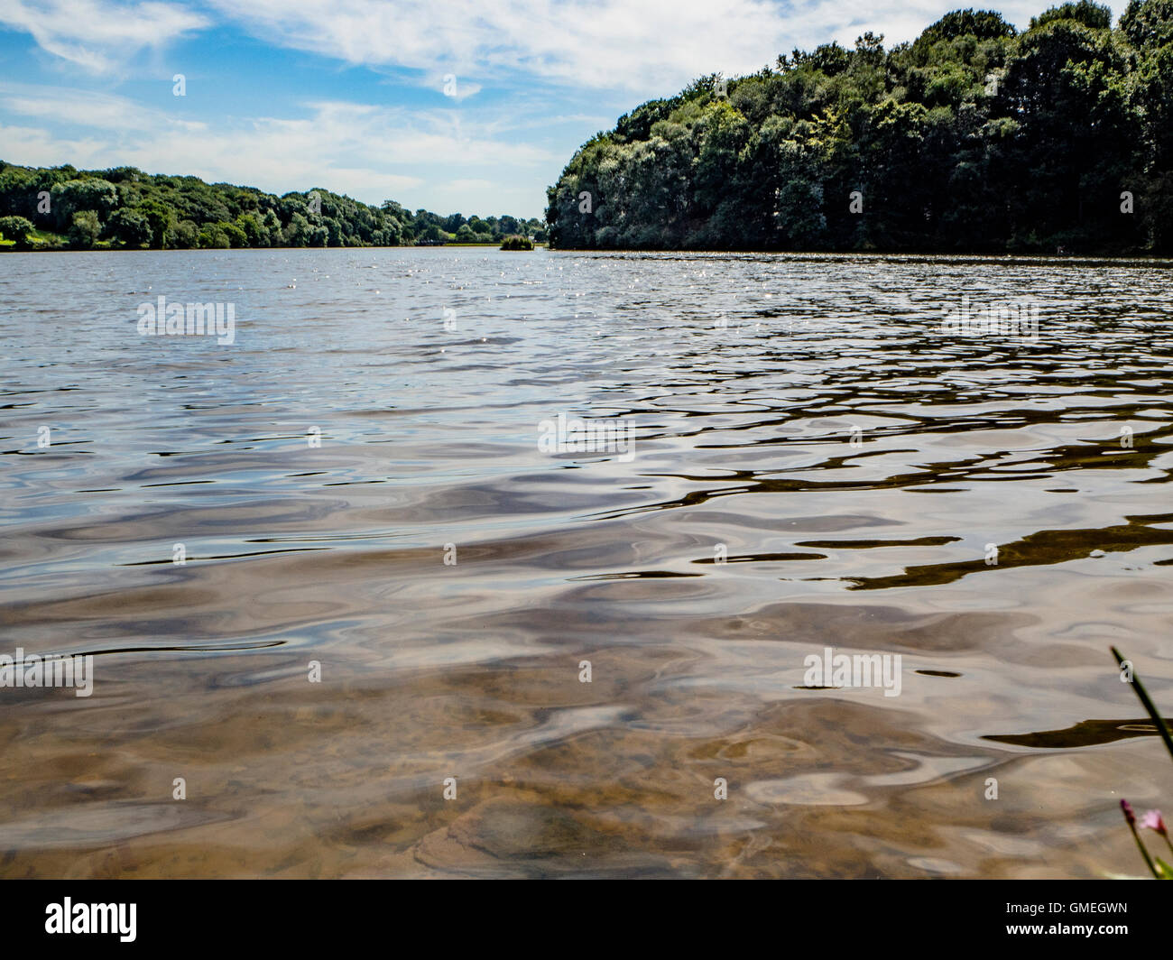 Sunny lake uk hi-res stock photography and images - Alamy