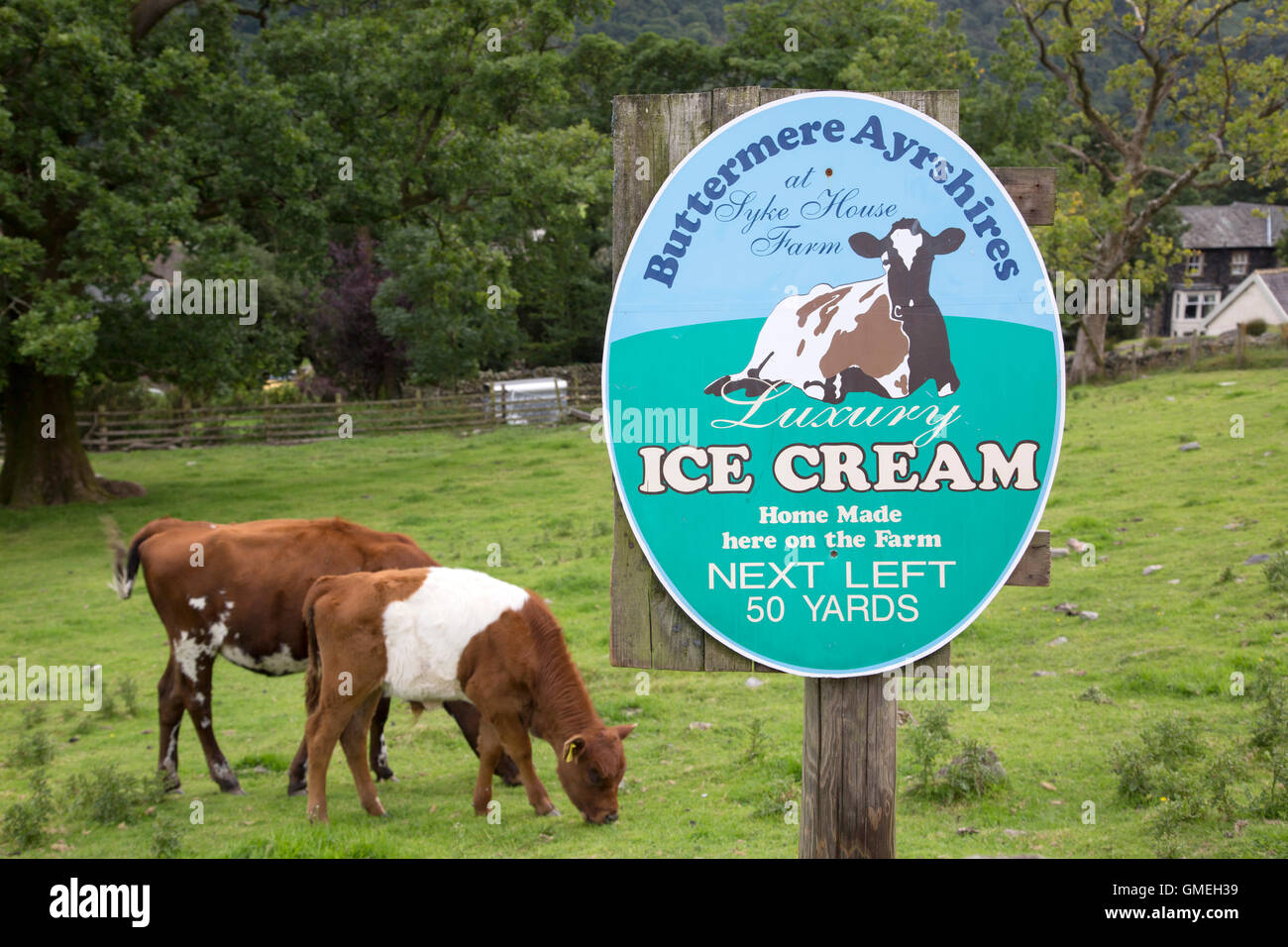 Luxury ice cream hi-res stock photography and images - Alamy