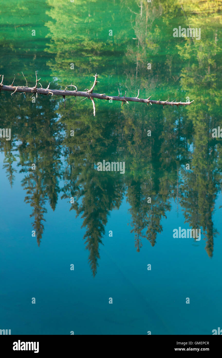 Canadian landscape with lake and forest. Alberta. Canada. Vertical ...