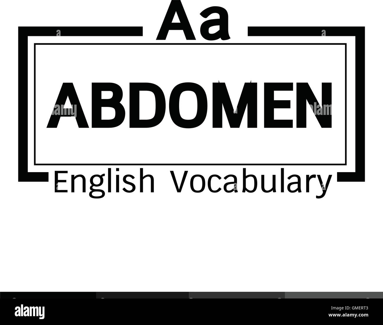 ABDOMEN english word vocabulary illustration design Stock Vector Image ...